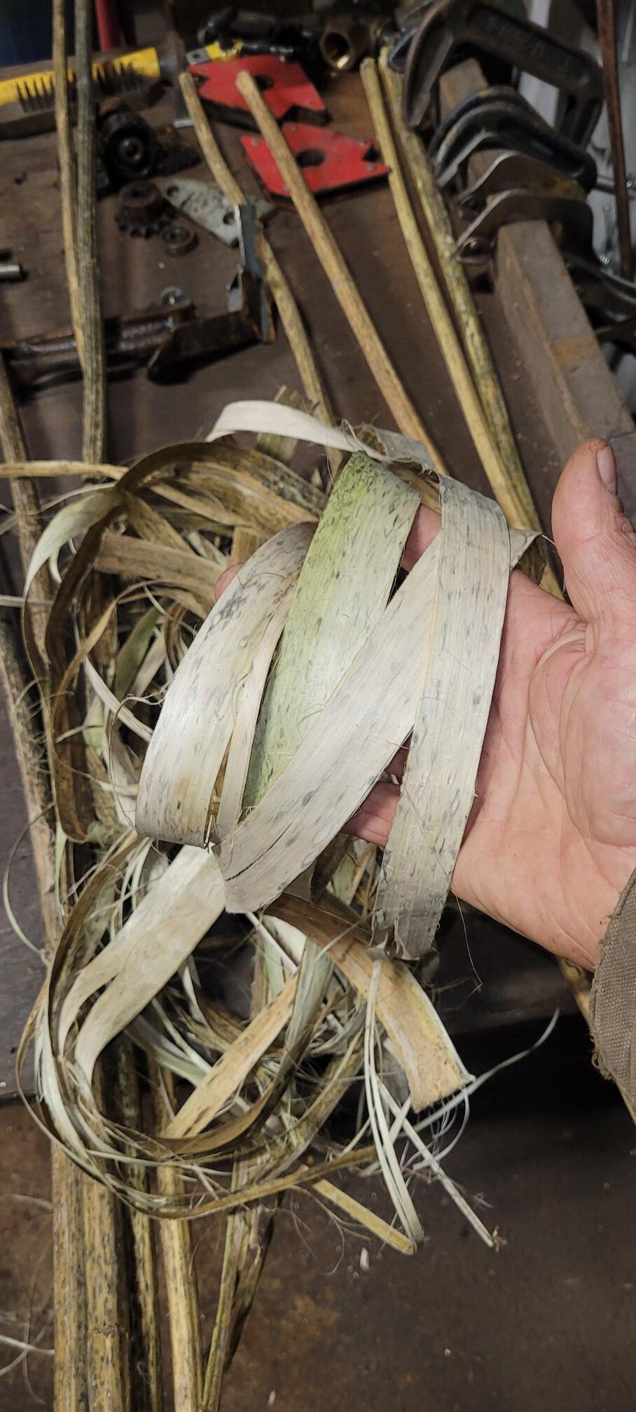 Hemp Decorticator Value: 5 Crops, 1 tool | Hempower