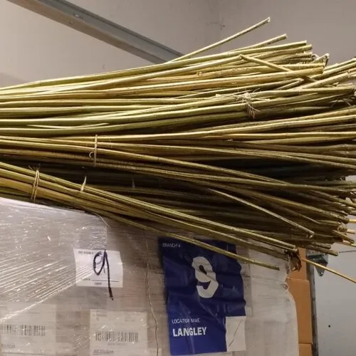 Dry Hemp Stalks | Industrial & Sustainable Use